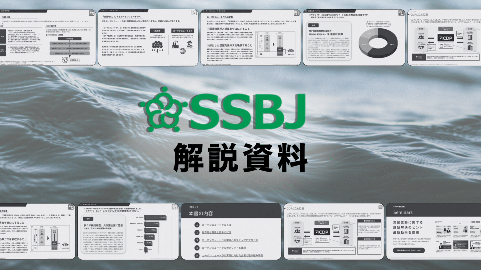 「SSBJ 公開」解説資料 ｜ ReChroma